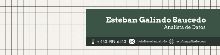 Placeit - LinkedIn Banner Generator for a Professional Data Analyst