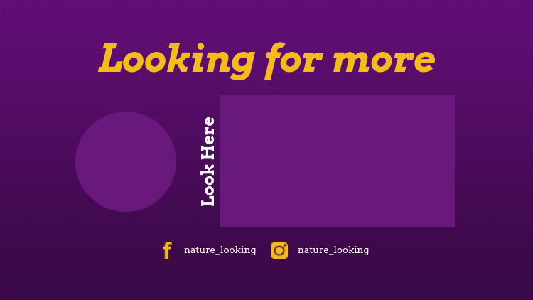 Placeit - Simple YouTube End Card Design Template