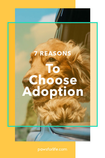 Placeit - Trendy Pinterest Post Template in a Collage Style